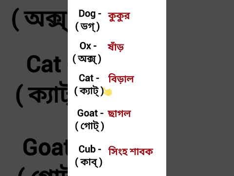 Dog, Ox, cat, Goat, cub, Basic English word meaning // #english #education #vocabulary