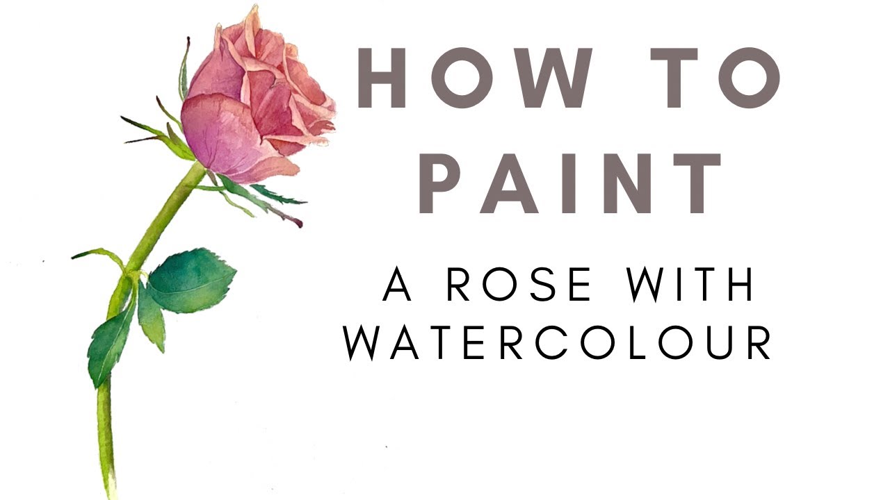 How to Paint a Botanical Rose
