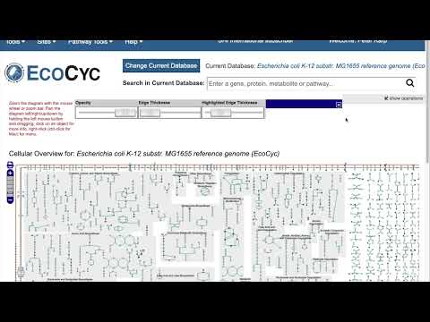 Analyze transcriptomics and metabolomics data