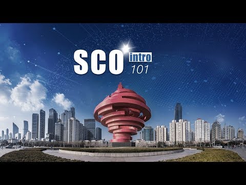 Intro 101:everything you need to know about the SCO