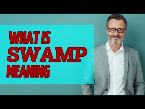 Swamp | Meaning of swamp