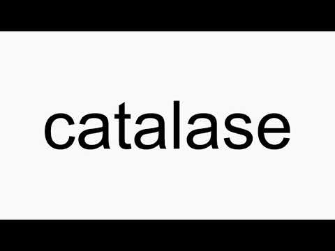 How to pronounce catalase