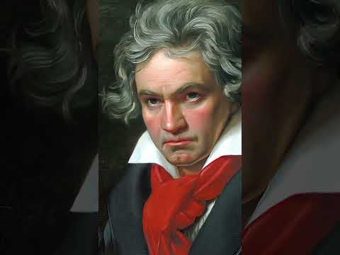What is a Symphony?
