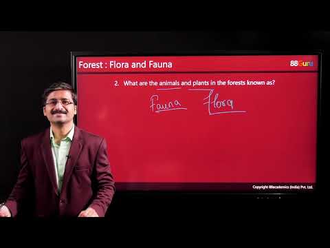Forest : Flora & Fauna | 7th Science Class | Online Science Tuition | 88Guru