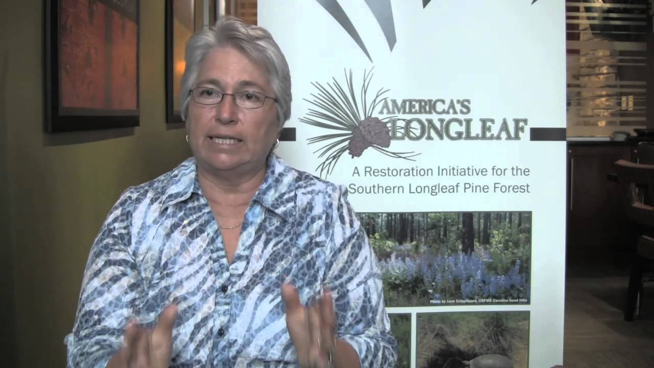 America's Longleaf Restoration
