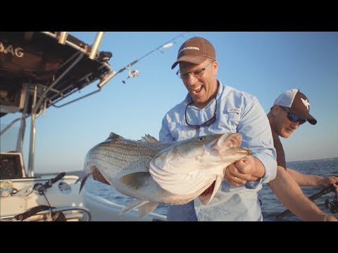 Video Gallery - Humminbird