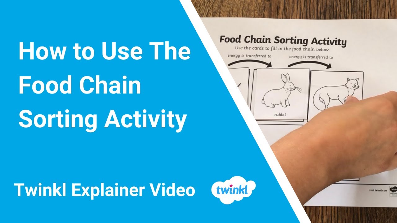How to Use The Food Chain Sorting Activity