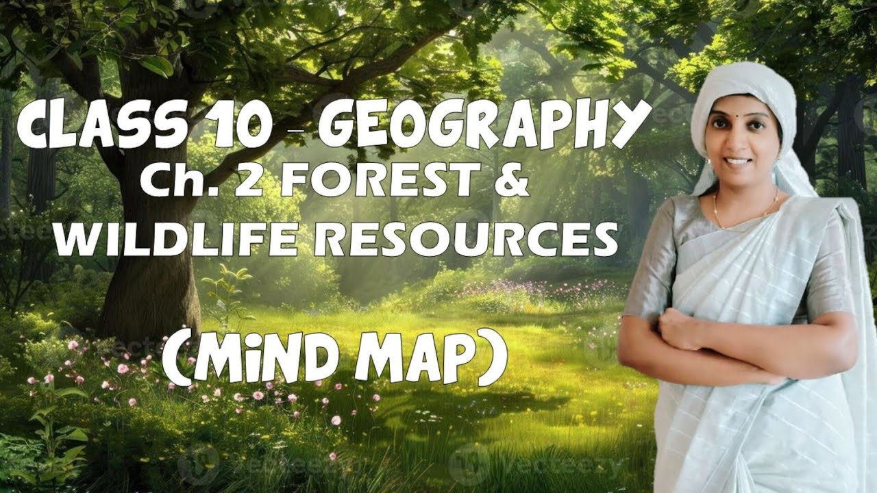 Forest and Wildlife Resources Mind Map | CBSE: Class 10, Geography, Ch 2 Mind Map