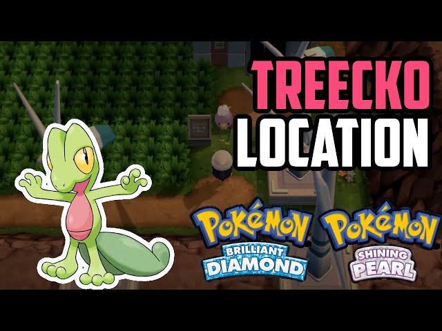 How to catch Torchic, Mudkip and Treecko in Pokemon Brilliant Diamond and Shining Pearl