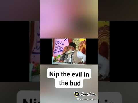 Nip the evil in the bud | Dr Israr Ahmad