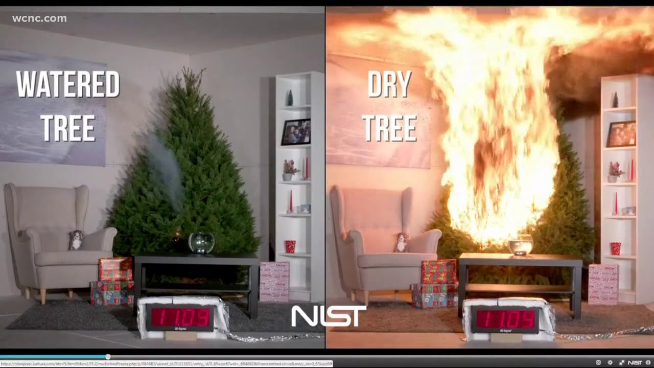 Dry Christmas trees can cause dangerous fires
