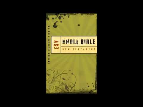 The Book Of Galatians - ESV