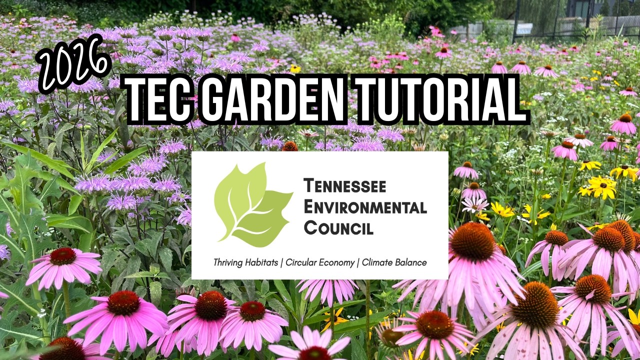 2026 Step-By-Step Garden Tutorial