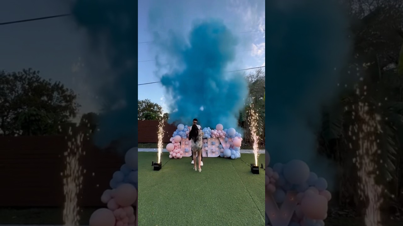 The Best Powder Blasters GENDER REVEAL