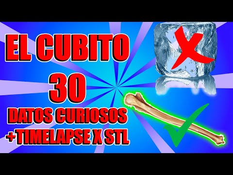 STL file Cubit Bone 🦴 ・3D printer model to download・Cults