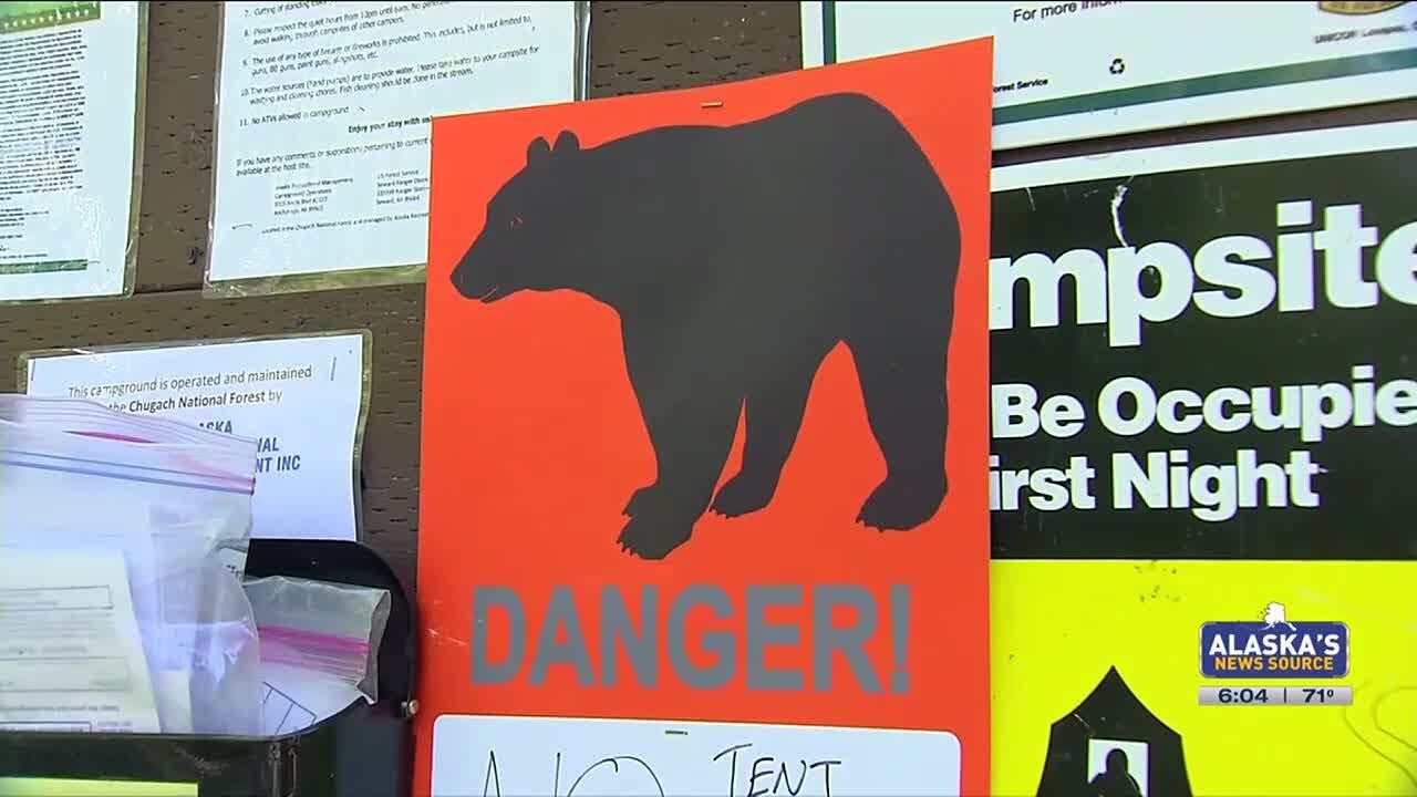 Portage campgrounds closed after black bear encounter leads to camper injury