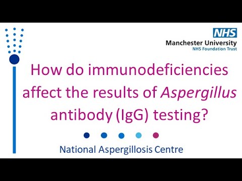 Does Aspergillus antibody (IgG) testing work for patients with immunodeficiencies?