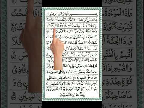 Surah Takwir Beautiful Tilawat || #viral #shorts