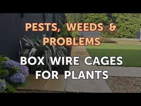 Box Wire Cages for Plants