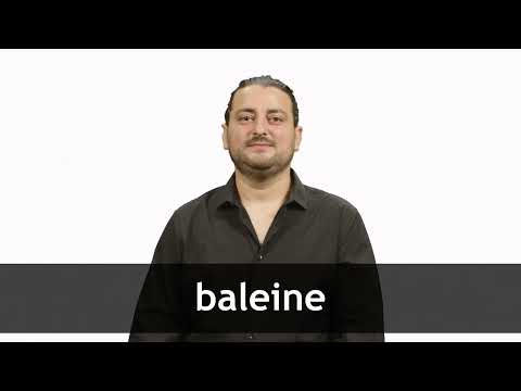 English Translation of “BALEINE” | Collins French-English Dictionary