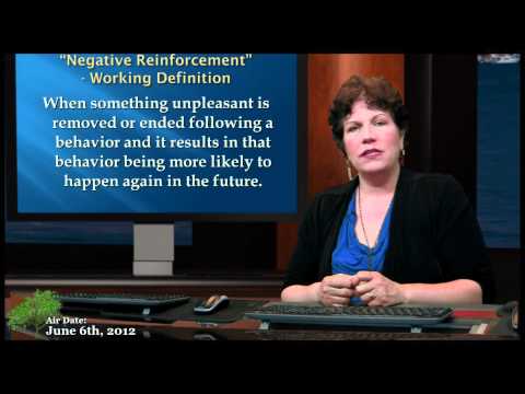 Negative Reinforcement - Jargon of the Day