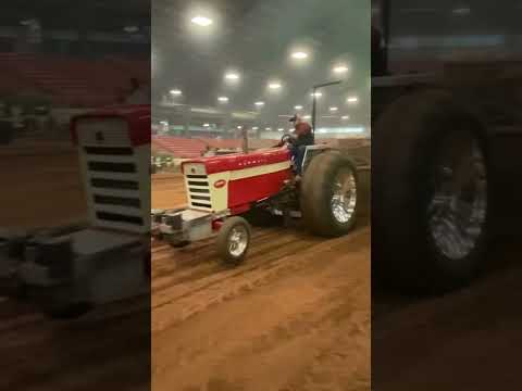 Farmall 460 5000pd 12mph win #tractorpulling #antiquetractor #farmall #tractor
