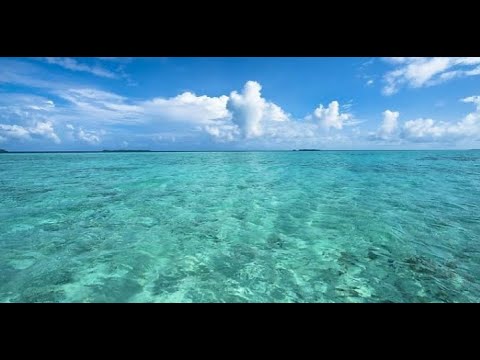 The Sound of the Palauan language | Do You Know Palau Basic Information |World Countries Information
