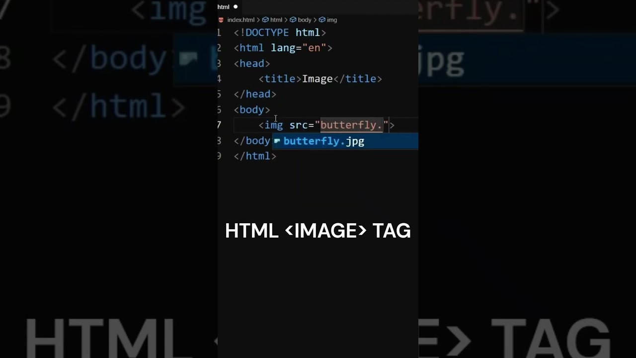 Como Adicionar uma Imagem ao HTML.