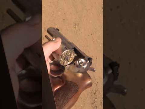 Ruger GP100 .357 Mag #acehgunfishing