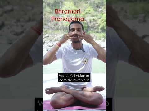 Bhramari Pranamaya | Mudra For Bhramari Pranamaya | @prashantj yoga