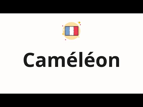 How to pronounce Caméléon