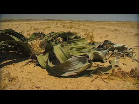Namib-Naukluft National Park NAMIBIA