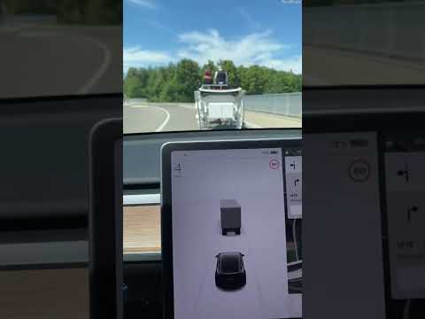 Tesla Has Strange Identification Problems When It Meets a Horse-Drawn ...