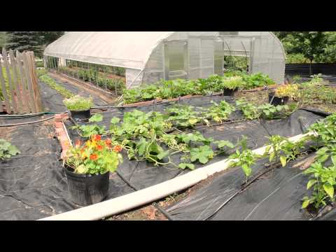 Greenhouse Irrigation - Rimol Greenhouse Systems