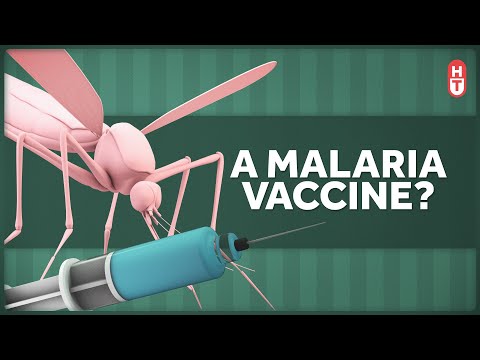A Vaccine for Malaria!