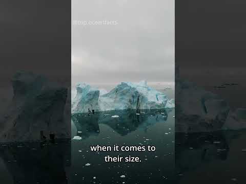 The Largest Iceberg On Earth