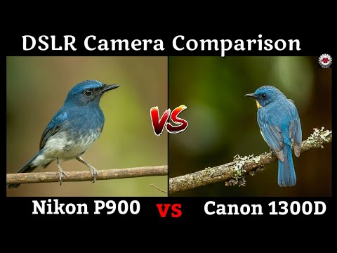 Nikon Coolpix P900 VS Canon 1300D DSLR Camera Comparison