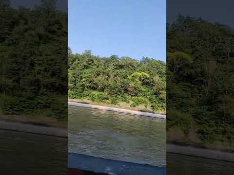 Haridwar to Badrinath road side