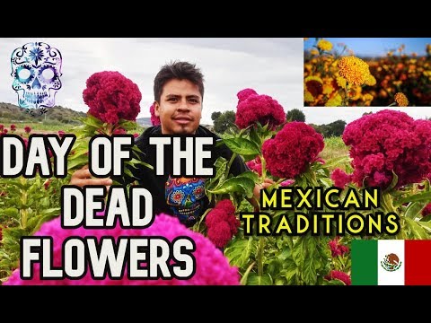 DAY OF THE DEAD FLOWERS( Dia de muertos) MEXICAN TRADITIONS