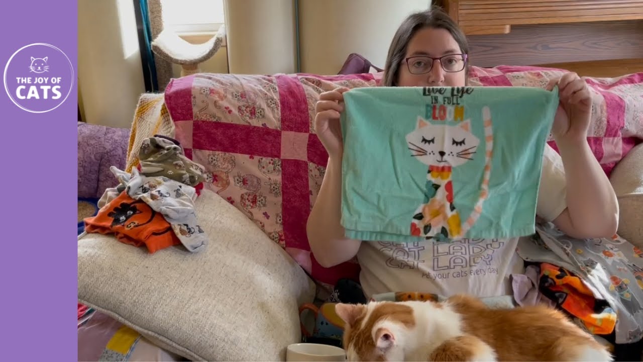 Top 5 Practical Gifts for Cat Lovers
