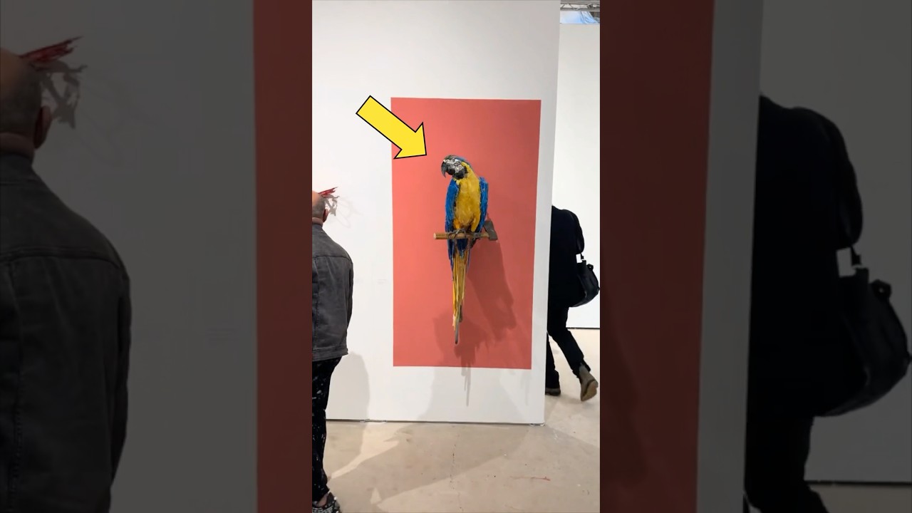 Esto Es El Arte Moderno 🍌