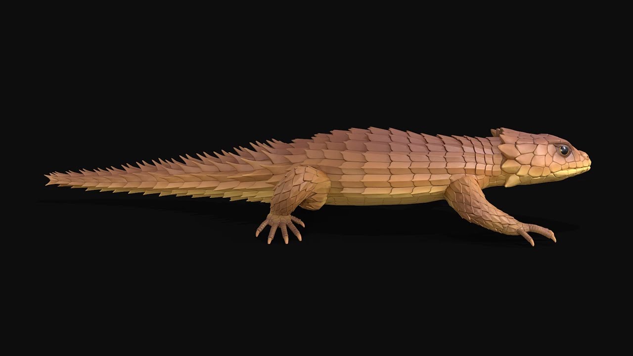 Preview | Armadillo lizard  | 3d animation - Walk