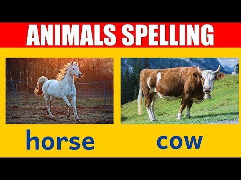 Farm Animal Names - Learn Spelling and Pronunciation in English