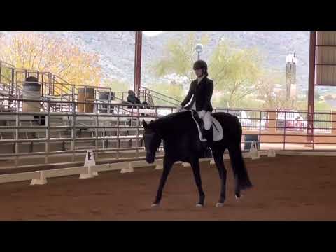 2023 USEF First Level Test 3 — Lyon