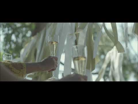 The Toast by Matt Marinovich - Official Book Trailer