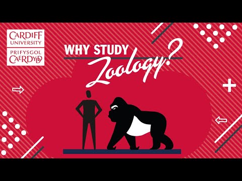 Cardiff University - Zoology Degree Course Animation (English)