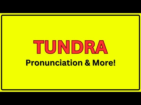 Meaning of Tundra | Pronunciation of Tundra | Tundra In a Sentence