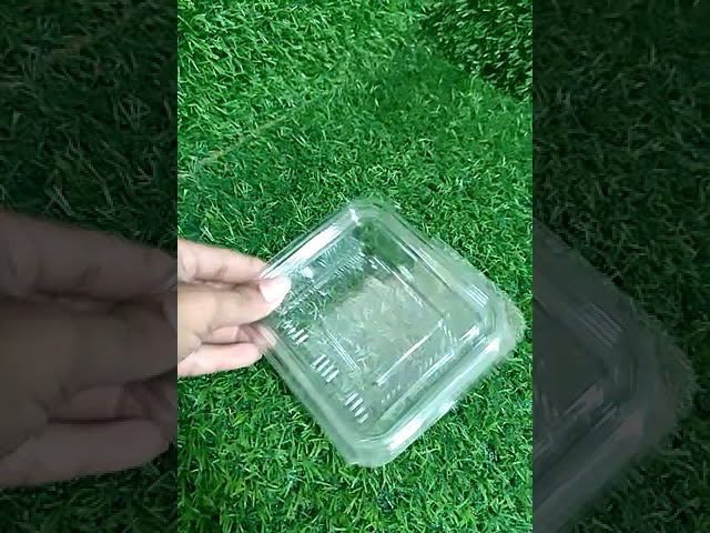 Packaging Box - 250ml Hinged Box Manufacturer from Greater Noida