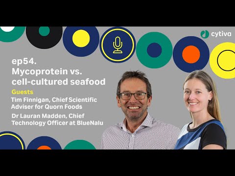 Discovery Matters | Ep54. Mycoprotein v. cell-cultured seafood