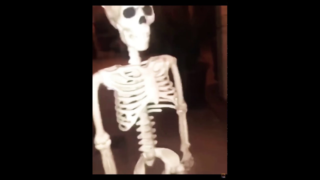 Skeleton Meme Template
